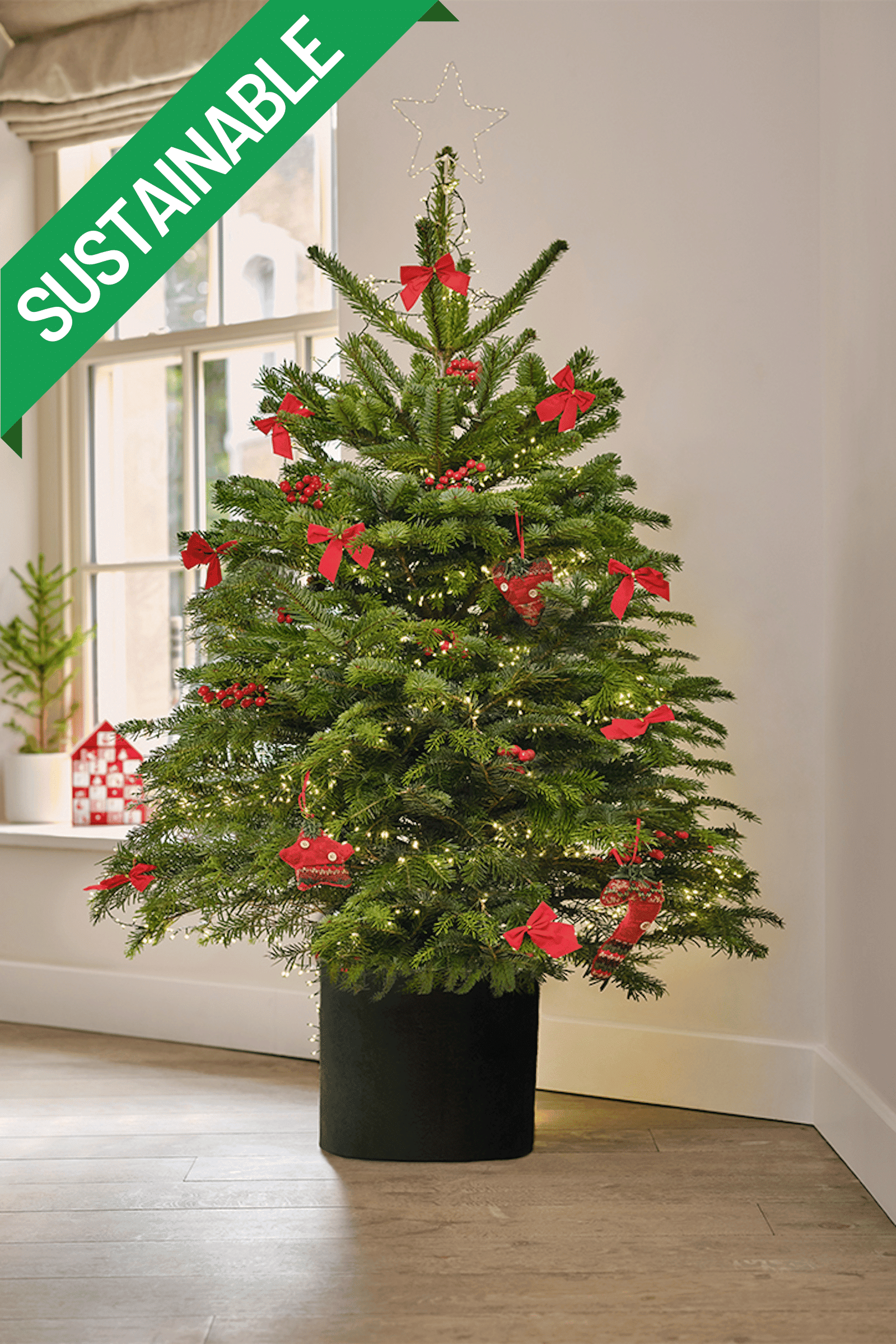 Green Elf Trees - Delivering Christmas