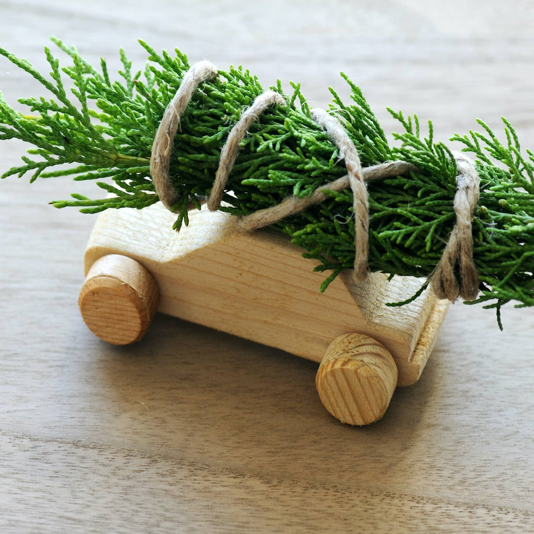 Green Elf Trees - Delivering Christmas